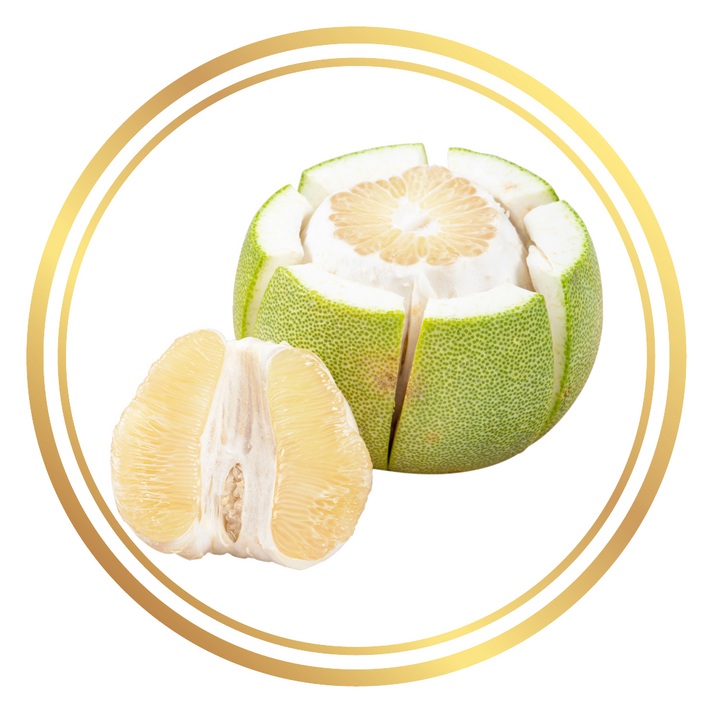 White Pomelo Fruit Tree – Perth Mobile Nursery
